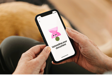 Car Insurance Documents | What You Need for UK Cover | Marshmallow